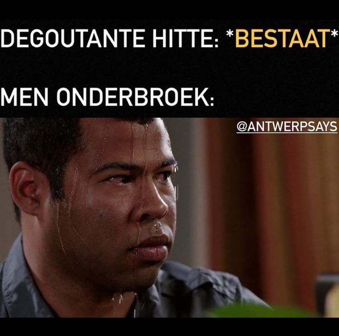 De hittegolf is misschien voorbij, maar de geestige memes erover zijn ...