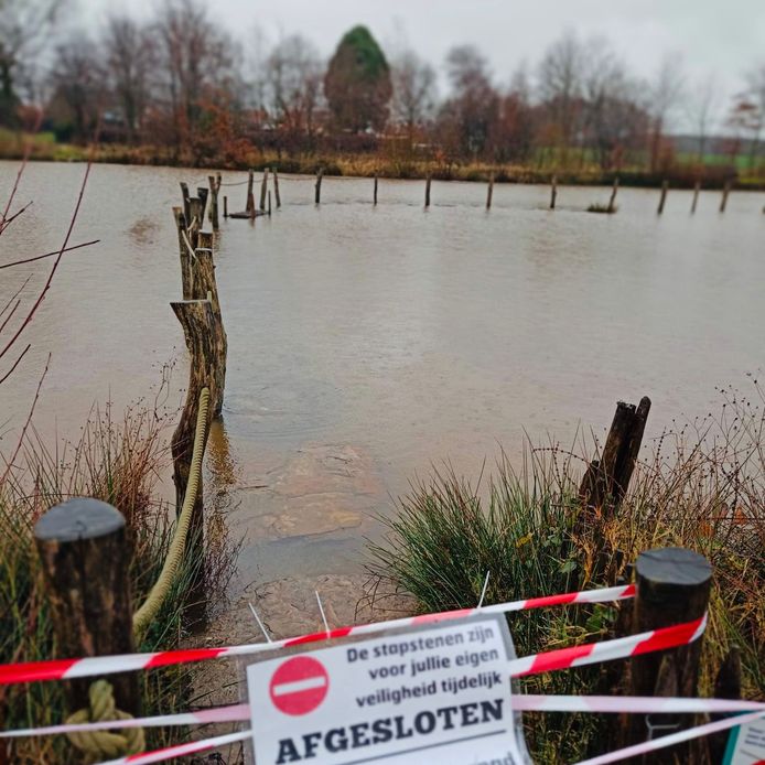 Stapstenen in Grote Netewoud tijdelijk afgesloten wegens hoge ...