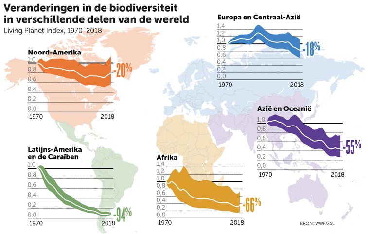 Het lot van de natuur ligt in handen van VN-top in Montreal: moeten we ...