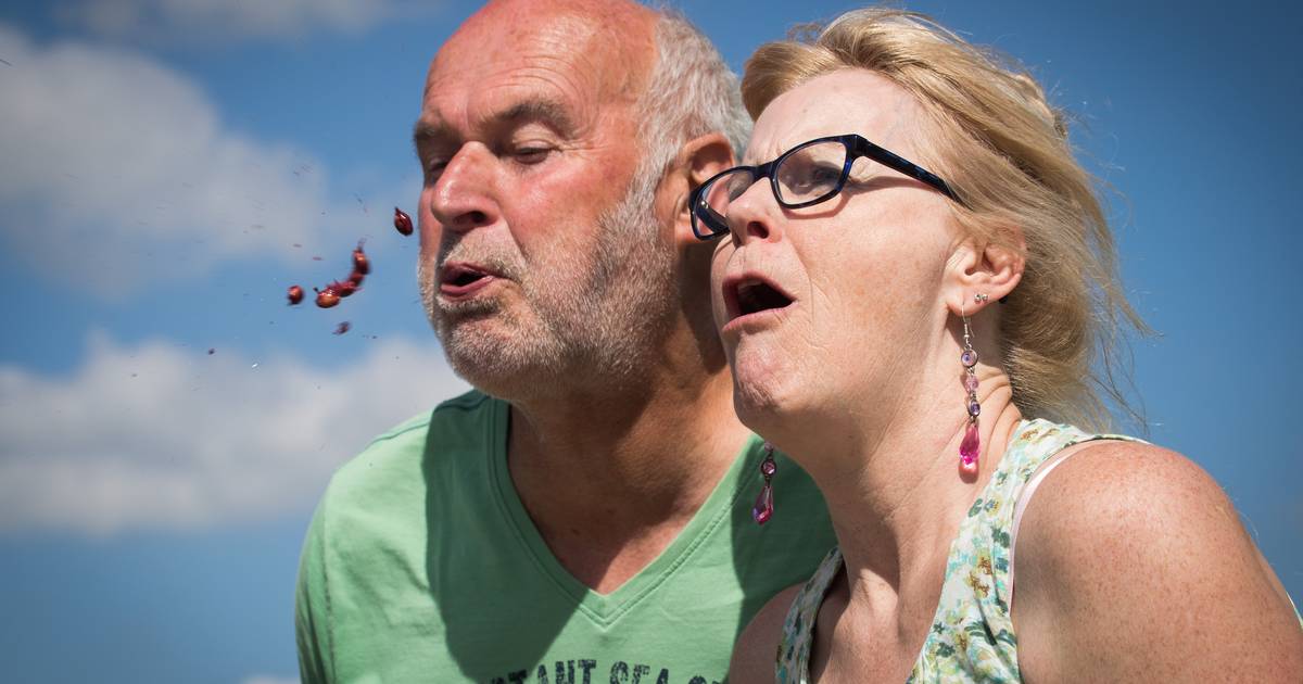 Kersenpit-spugen in Elshof: ‘Pit goed over tong laten rollen’ | Olst ...