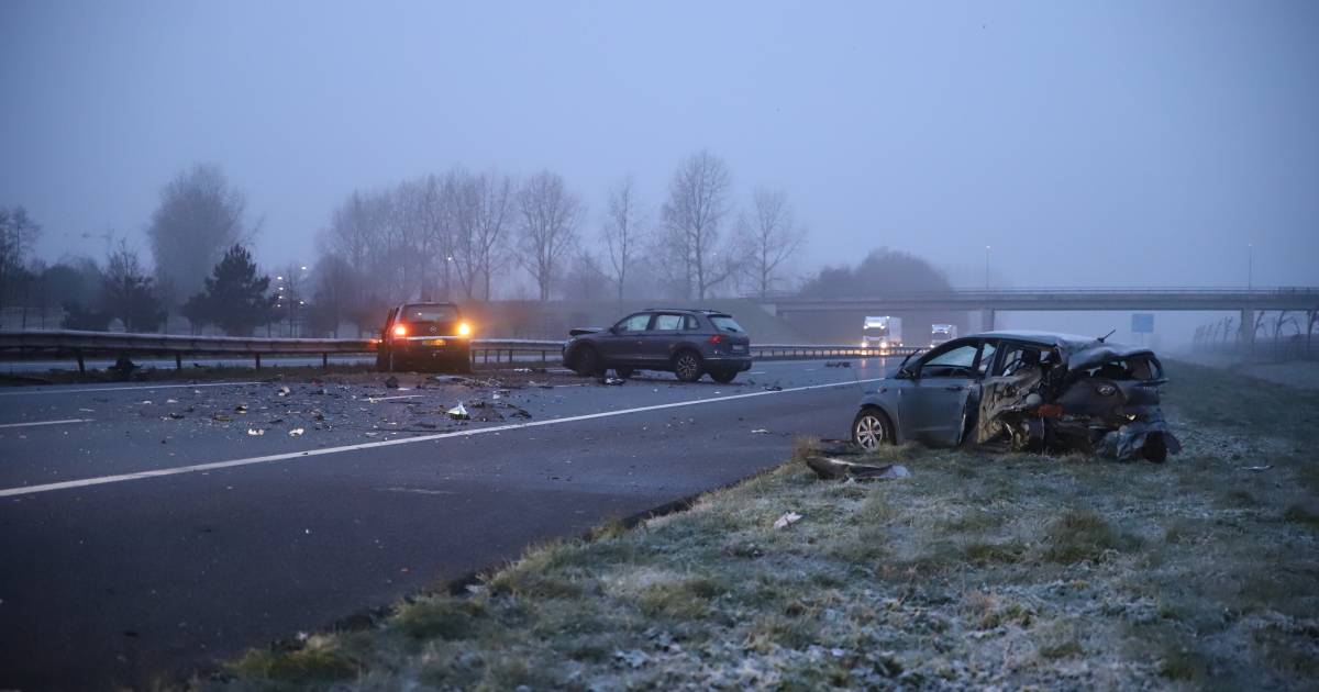 Meerdere gewonden na zwaar ongeluk A15 bij Dodewaard, politie zoekt ‘moeilijk lopende man ...
