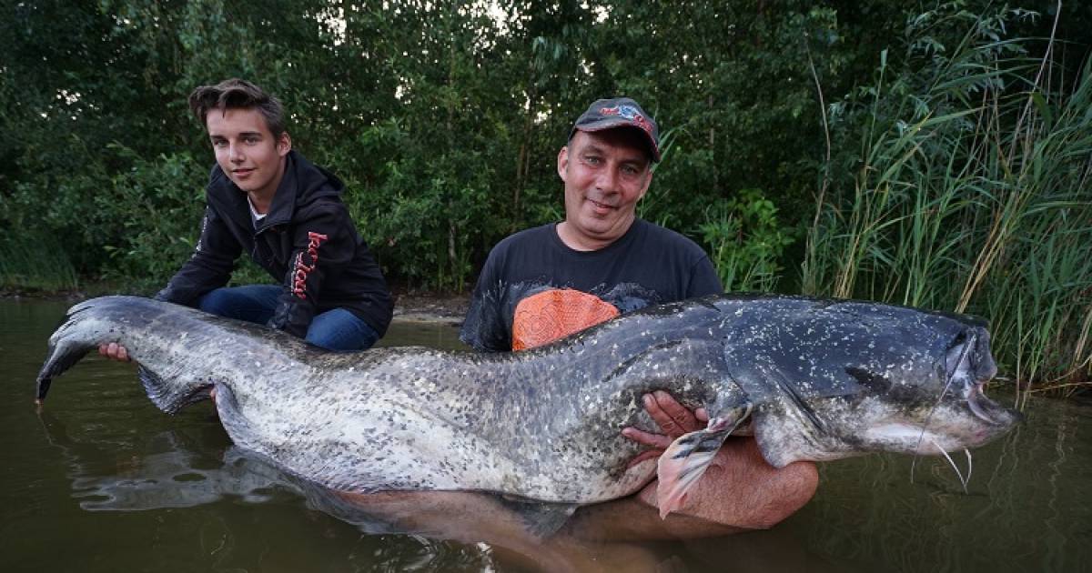 Monstervis zorgt voor stormloop bij Enschedese visvijver: ‘Helaas nog ...