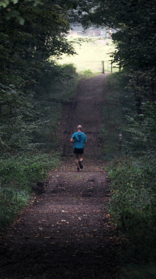 Nieuw wandelpad van anderhalve kilometer aan Zwarte Leen | Foto | hln.be