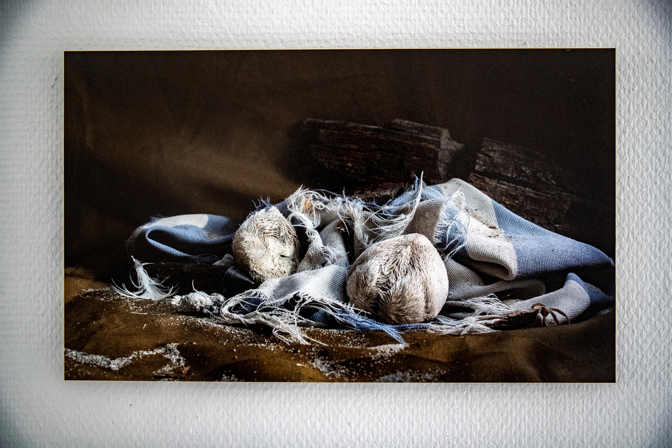 John Tromp (72) uit Diepenveen slaagt aan Foto Academie in Amsterdam ...
