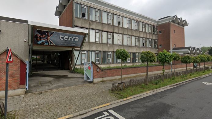 Go! Terra start met nieuwe studierichting toerisme | Temse | hln.be