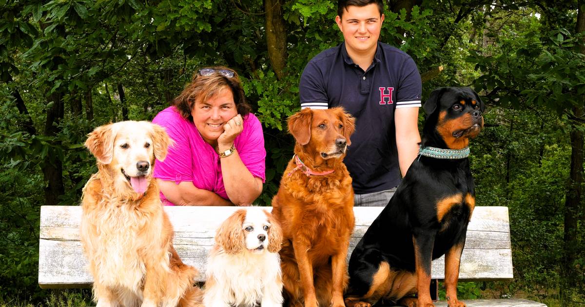 Hondentrainer die werkte met Martin Gaus maakt zich ernstige zorgen om ...