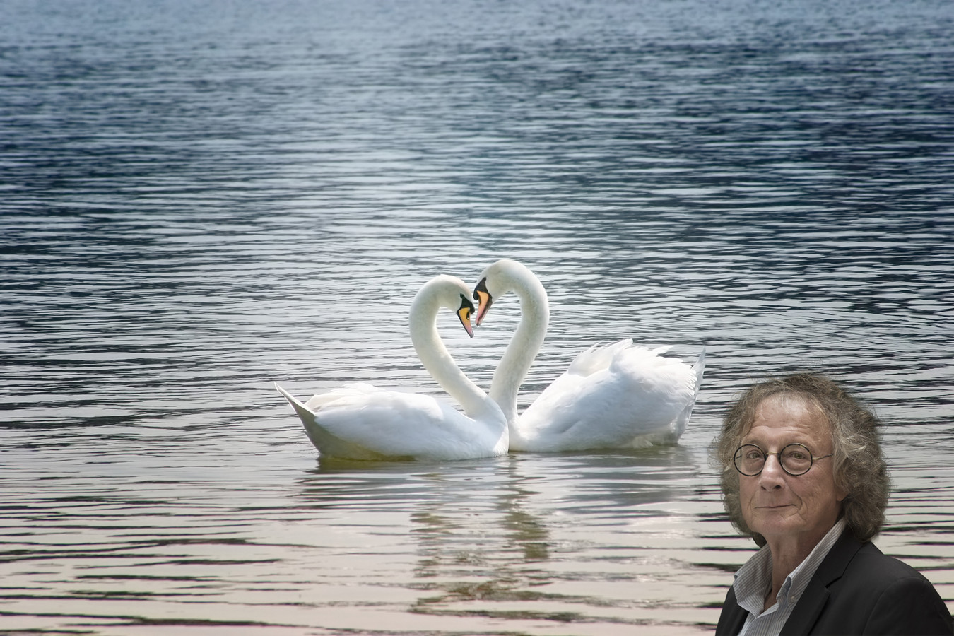 Van de afwezigheid van cynisme word ik optimistisch | Foto ...