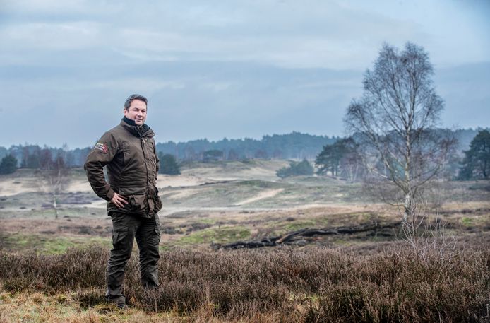 Bijna alle moeflons zijn opgegeten, door de wolf, maar boswachter Roy ...