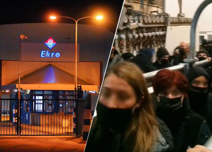 ‘Terrorisme’ was bij bezetting Apeldoornse slachterij Ekro niet aan de ...