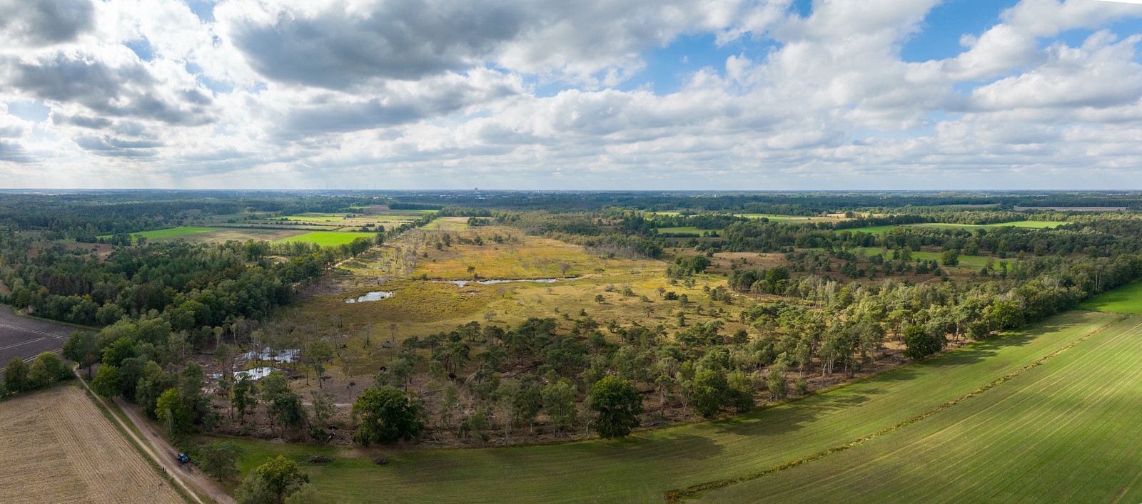 Bosrijke Liereman wordt omgevormd tot open en nat landschap: “We ...