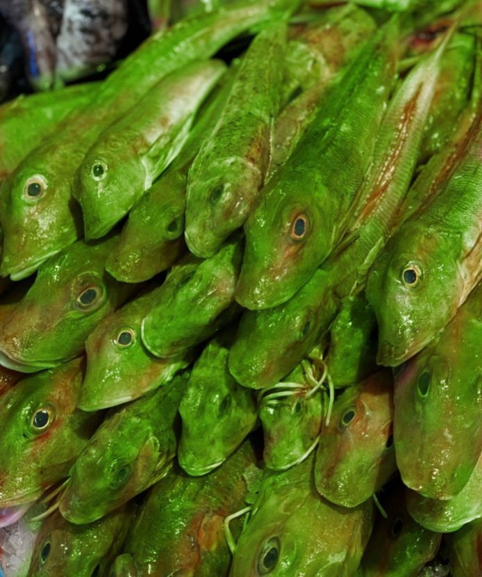 Deelscooter voor na het stappen en staanplaatsen in bioscoop? Dit zijn ...