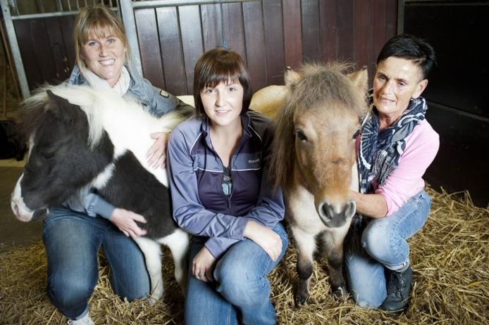 Het paardenmiddel van Natuurlijk Oogsten | Bergen op Zoom | AD.nl