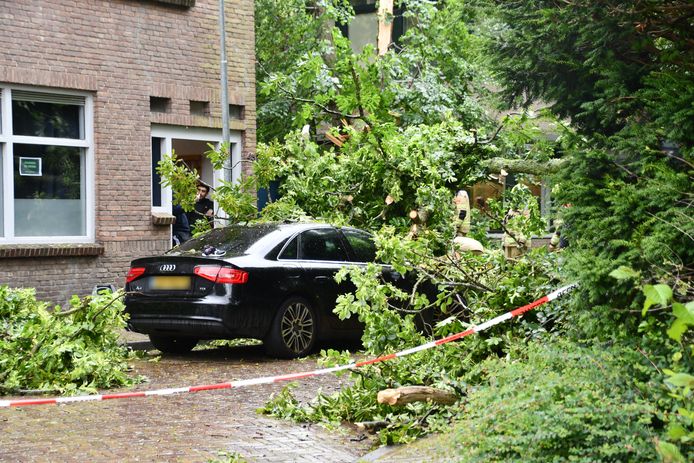 Harde windstoten zorgen voor schade in Zeeland | Zeeuws nieuws | pzc.nl