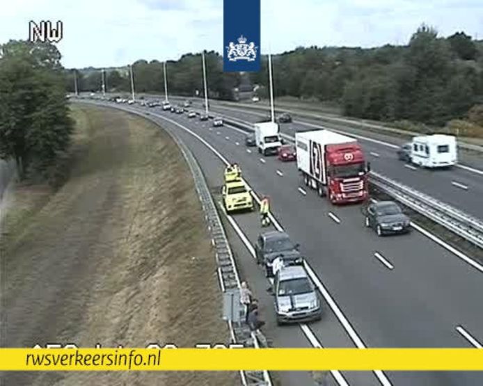 Overstekende hond veroorzaakt botsing op A58 bij Oirschot | Tilburg e.o. | bd.nl