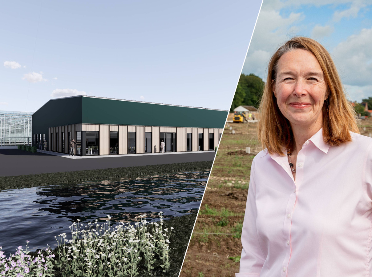 Dit is waarom dit bedrijf juist in Luttelgeest kiest voor ...