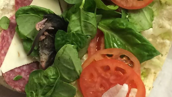 Oeps, dode rat in broodje bij Subway | Bizar | hln.be