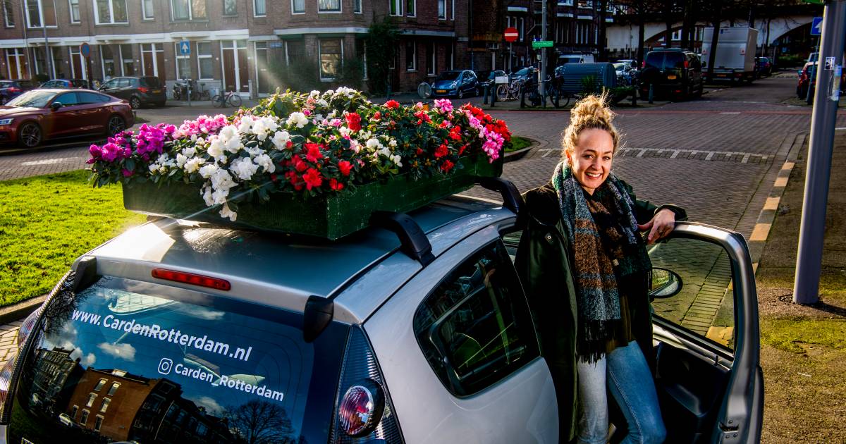 Hoe maak je de stad groener met je eigen auto? Robin Schipper heeft de ...