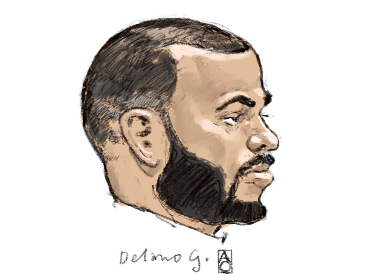 'Aanjager' moord Peter R. de Vries gearresteerd: 'Deze hond moet je ...