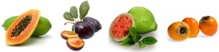 Bijzondere fruitsoorten | Libelle