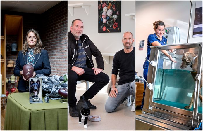 Huisdier als gezinslid levert nieuwe soorten werk op: ‘Mensen vinden ...