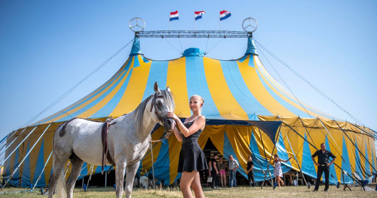 ‘Tropenrooster’ in het circus: voorstelling Circus Renz afgelast door ...