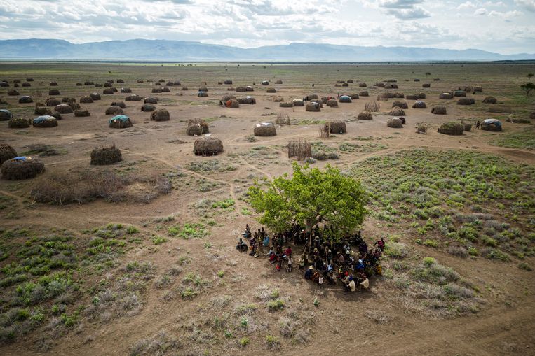 Het lot van de natuur ligt in handen van VN-top in Montreal: moeten we ...