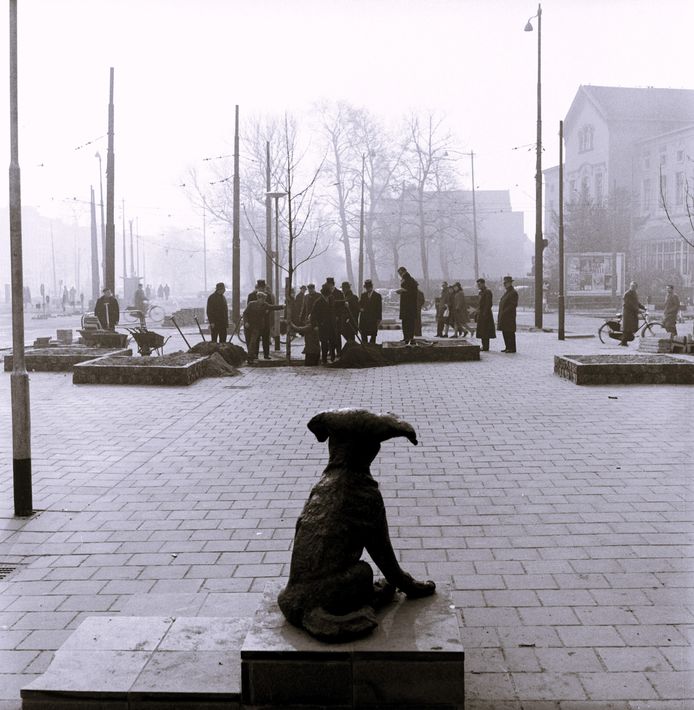 Na drie ontvoeringen landde Fikkie op de Oude Binnenweg. Mét zijn ...