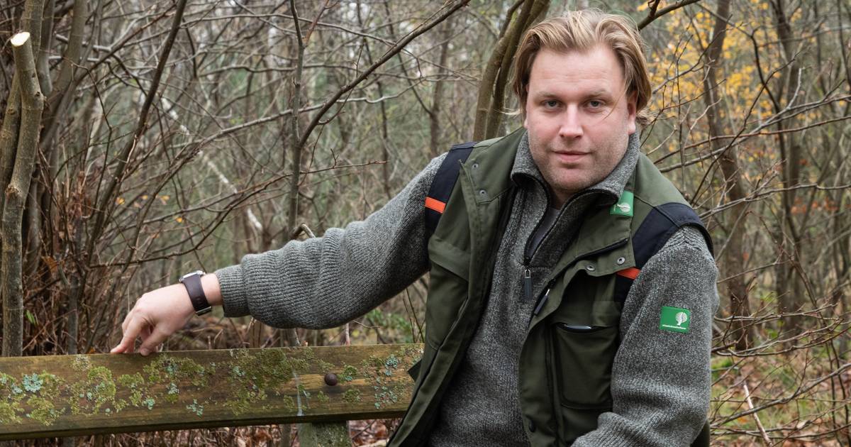 Boswachter blaast vergeten koninklijke boom in verdwenen gehucht Soerel ...