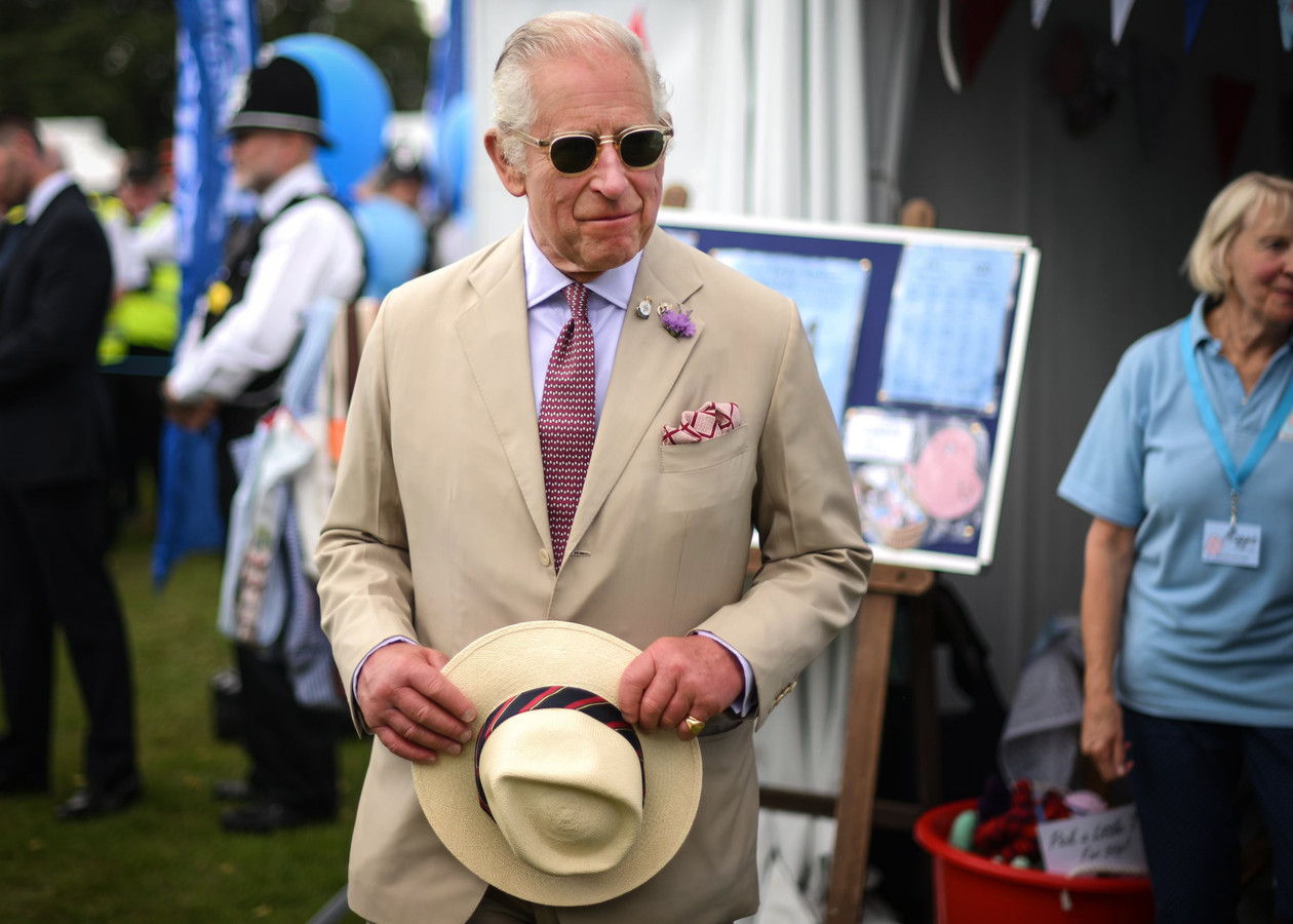 Omgekeerde wereld: koning Charles is opvallend populairder ‘dankzij ...