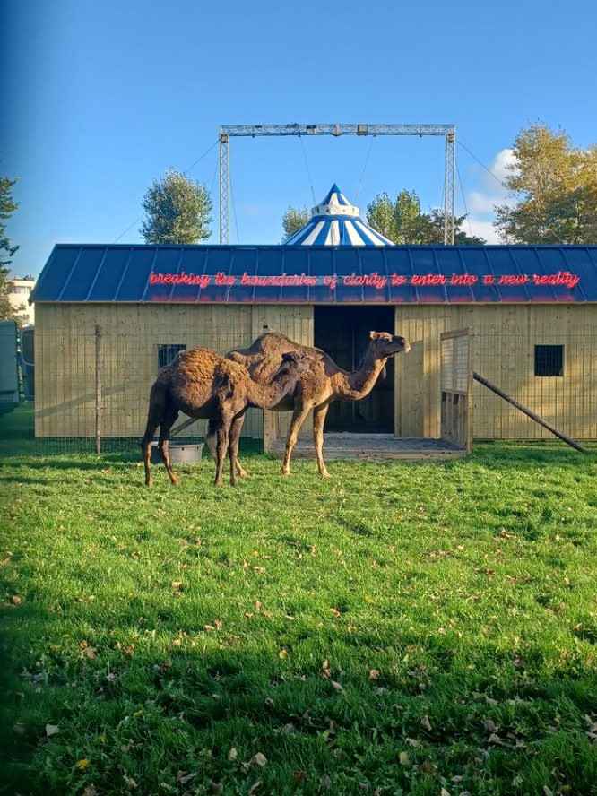 Maak kennis met Cantharel en Truffel, de tijdelijke bewoners van de ... Maak kennis met Cantharel en Truffel, de tijdelijke bewoners van de ...