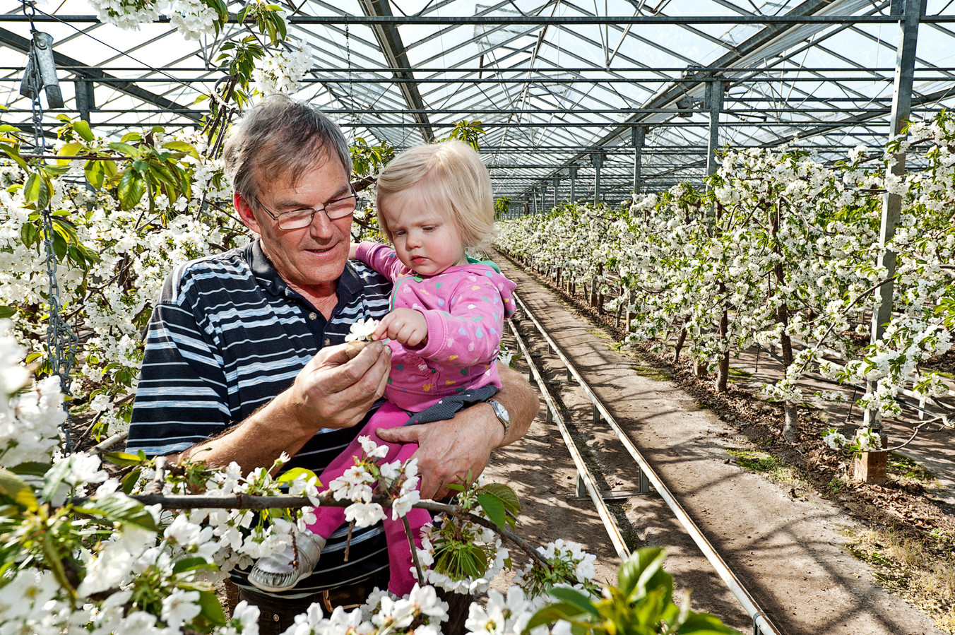 West-Brabanders over klimaatverandering: ‘Wat voor een wereld laten we ...