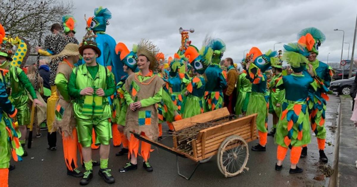 Carnaval in beeld (maandag) | Carnaval in Zeeland | pzc.nl