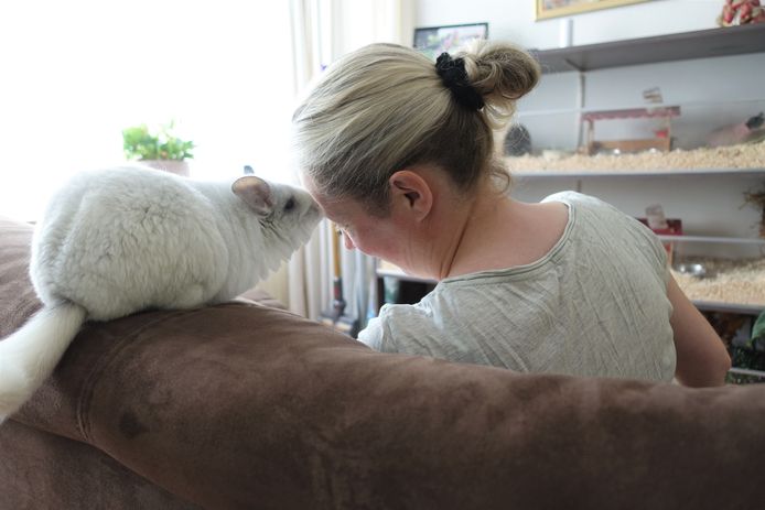 Ineens is dit wollige knaagdier verboden, Nancy uit Breda vreest voor ...