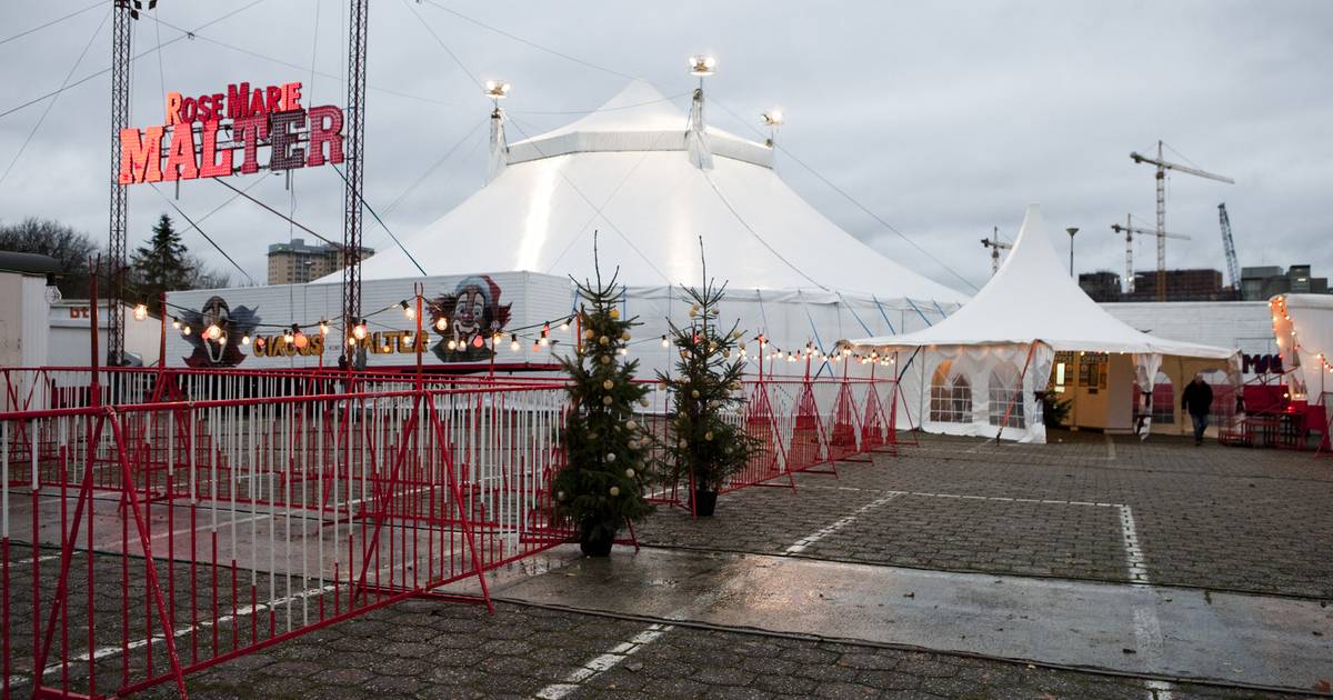 Legendarisch circus Malter failliet | Moerbeke-Waas | hln.be