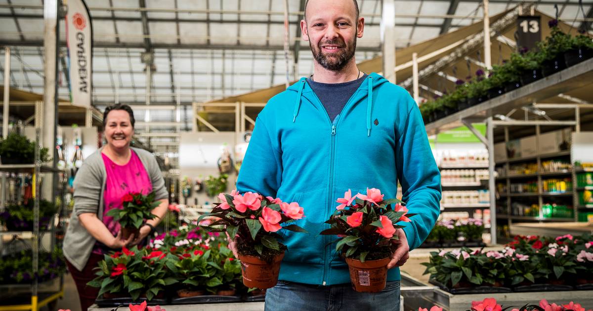 Tuincentrum Van Uytsel maakt zich op voor heropening: “Handen ...