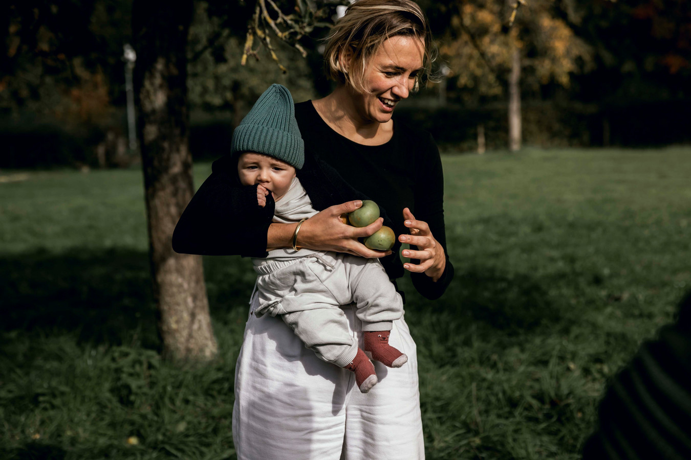 Honderden mensen rapen tonnen appels aan Alden Biesen: “Sommige soorten ...