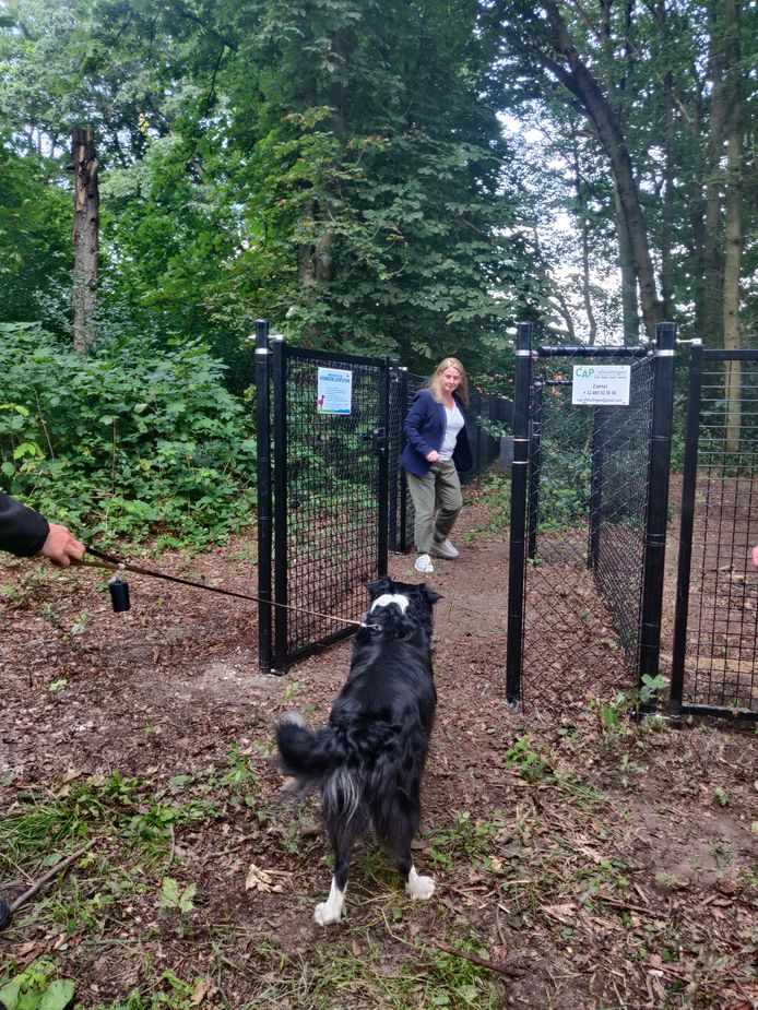 Wijnegem huldigt tweede hondenloopzone van 700 vierkante meter in | Wijnegem | hln.be