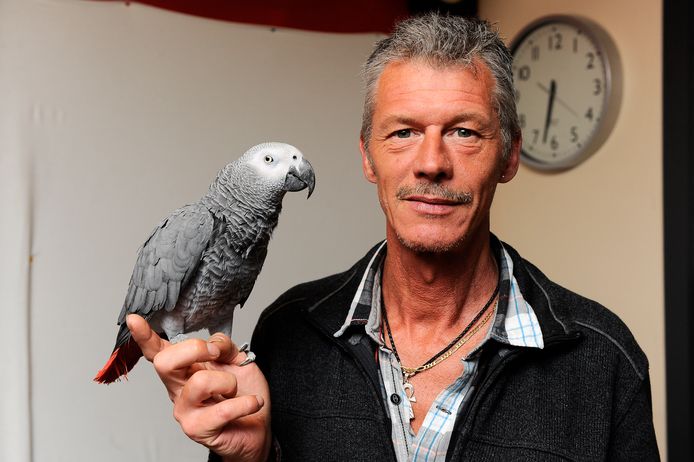 KIJK. Papegaai Paulie, die vlekkeloos Bart De Wever en Donald Muylle ...