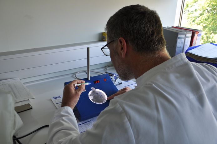 In dit labo groeien de bacteriën: “Vrij zeker dat we Legionella zullen ...