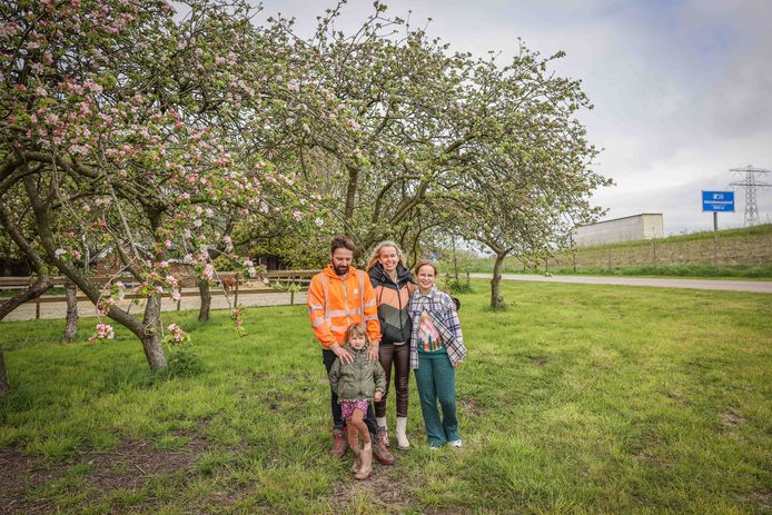 Zo is het om pal langs de A58 te wonen | Borsele | AD.nl