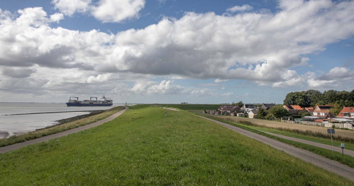 Zeespiegel stijgt: dijken moeten nóg hoger en Zeeland wordt zouter | Reimerswaal | pzc.nl
