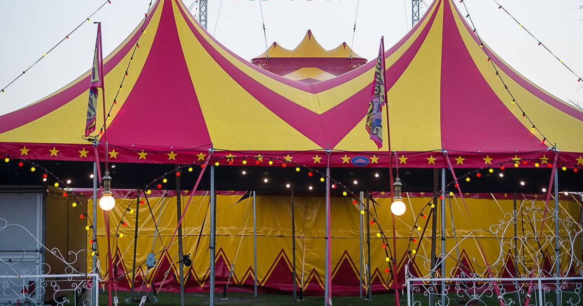 Eindelijk nog eens circus in Gent | Gent | hln.be