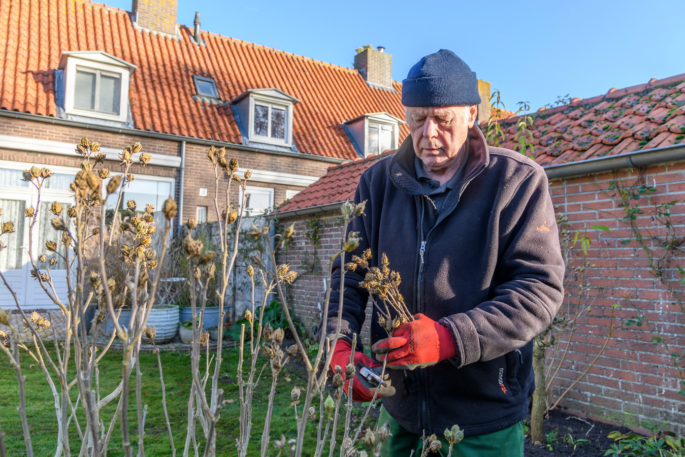 Gratis tuinman Peter stopt er mee, zonder geld en zonder hulp ...