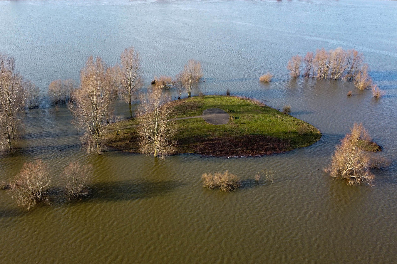 Hoogwater in de Maas: rivier treedt honderden meters buiten oevers bij ...