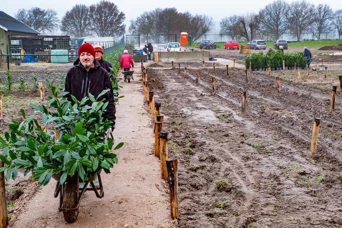 Even uitstel voor verhuizende volkstuinders: alle hens aan dek op oude ...
