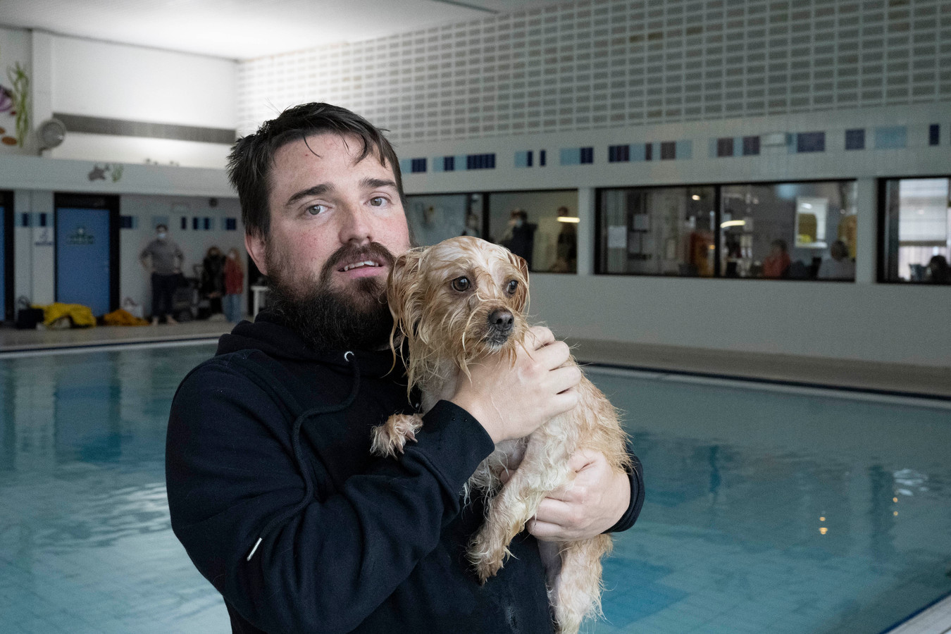 Origineel afscheid van oud zwembad: 78 honden leven zich helemaal uit ...