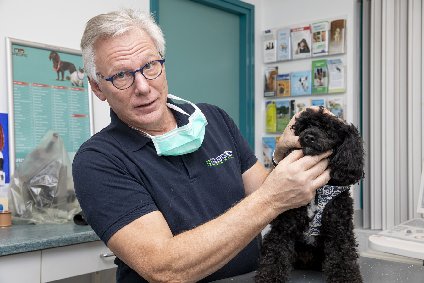 Therapie beste advies voor bang huisdier, zegt Hellendoornse dierenarts ...