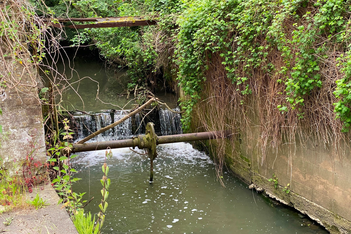 Eindelijk groen licht voor renovatie Ratmolen: minister Diependaele (N ...
