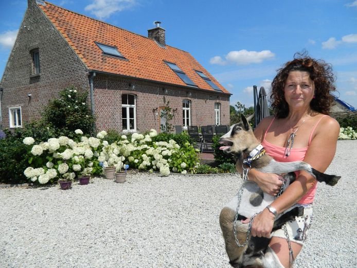 Weduwe verkoopt erf Boer Charel | Aalter | hln.be