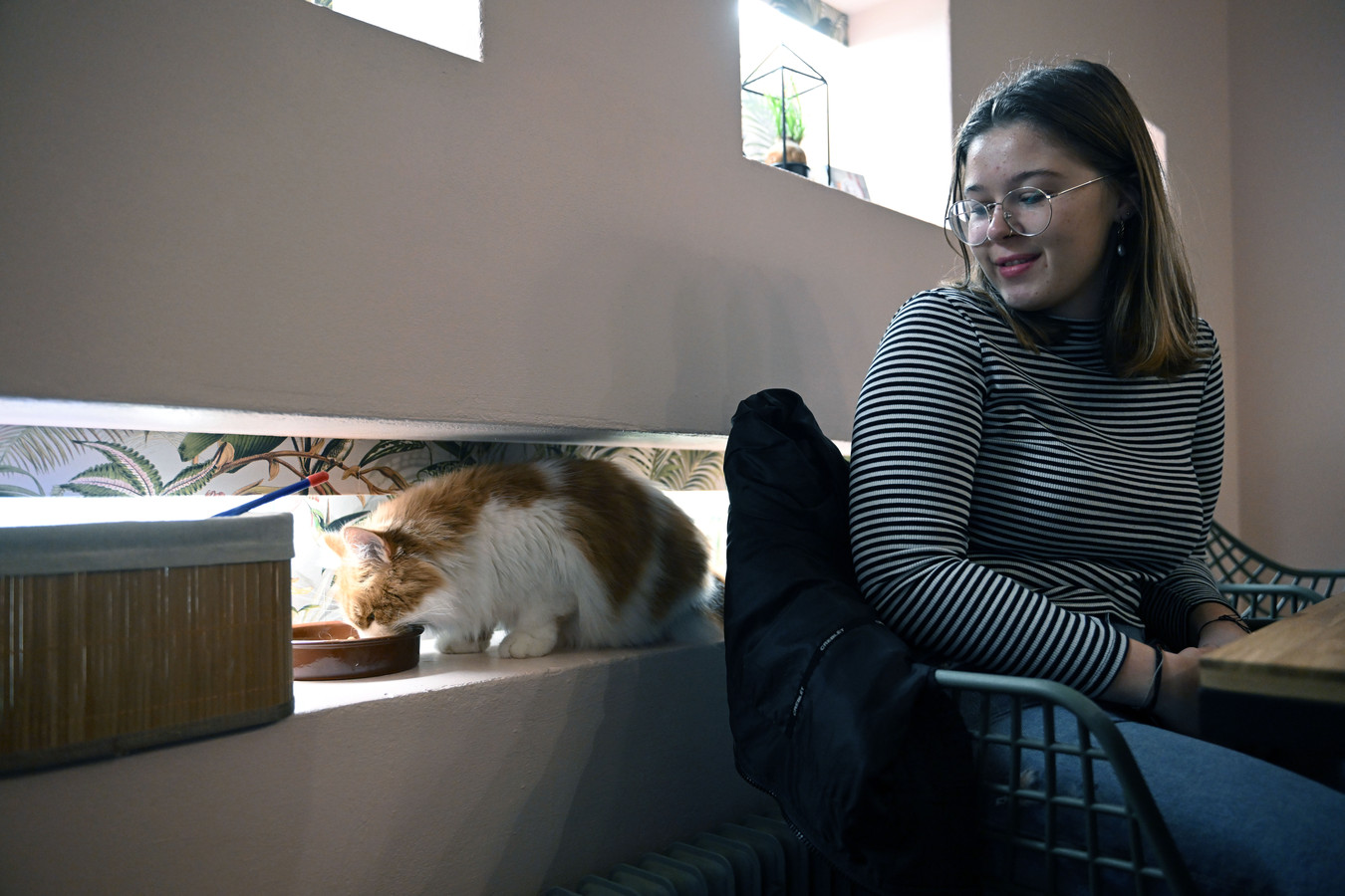 “Als het kon, dan bleven we hier wonen”: Leuven loopt storm voor eerste poezencafé van de ...